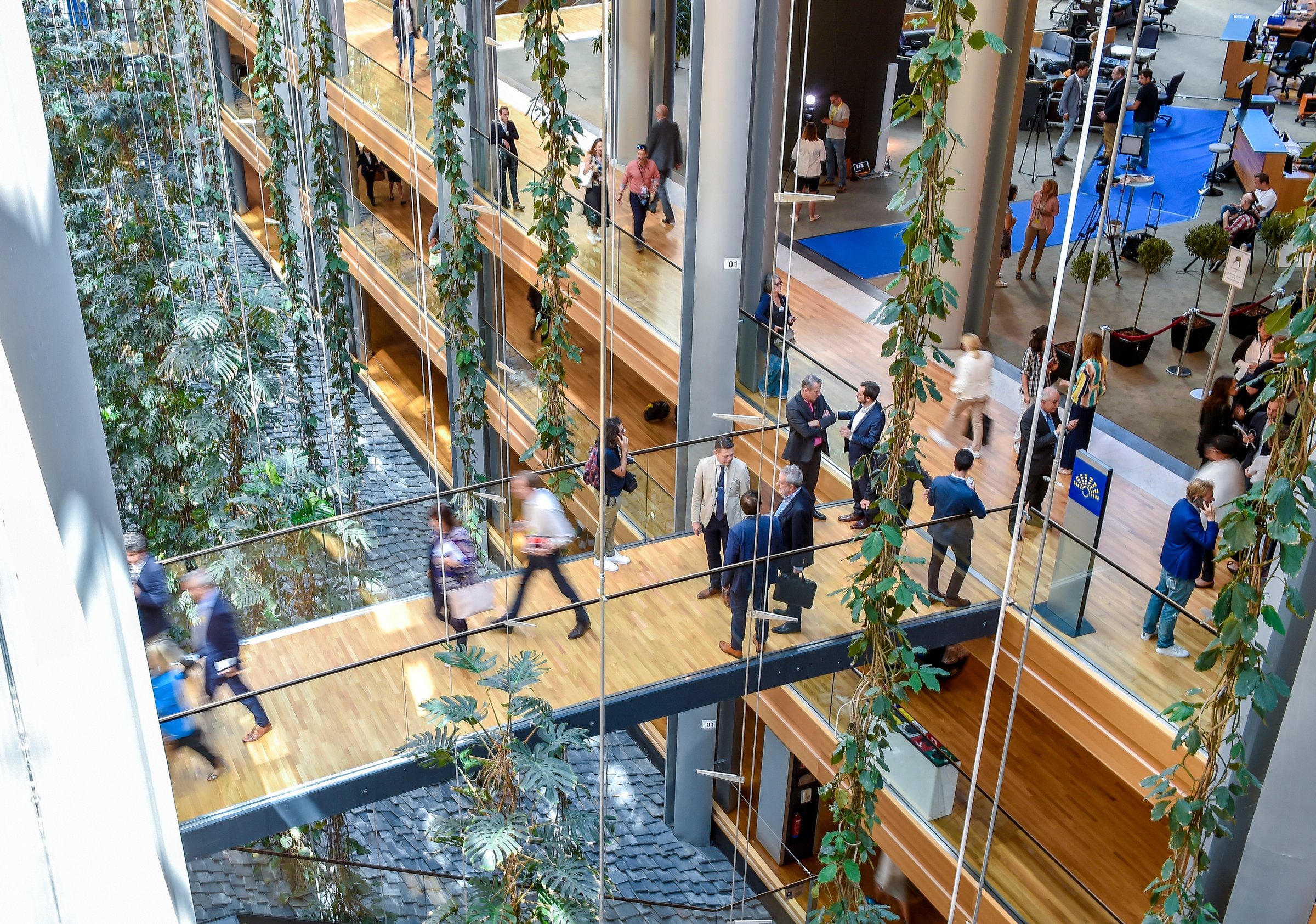 2025 work programme and busy Strasbourg session in focus This WEEK ...