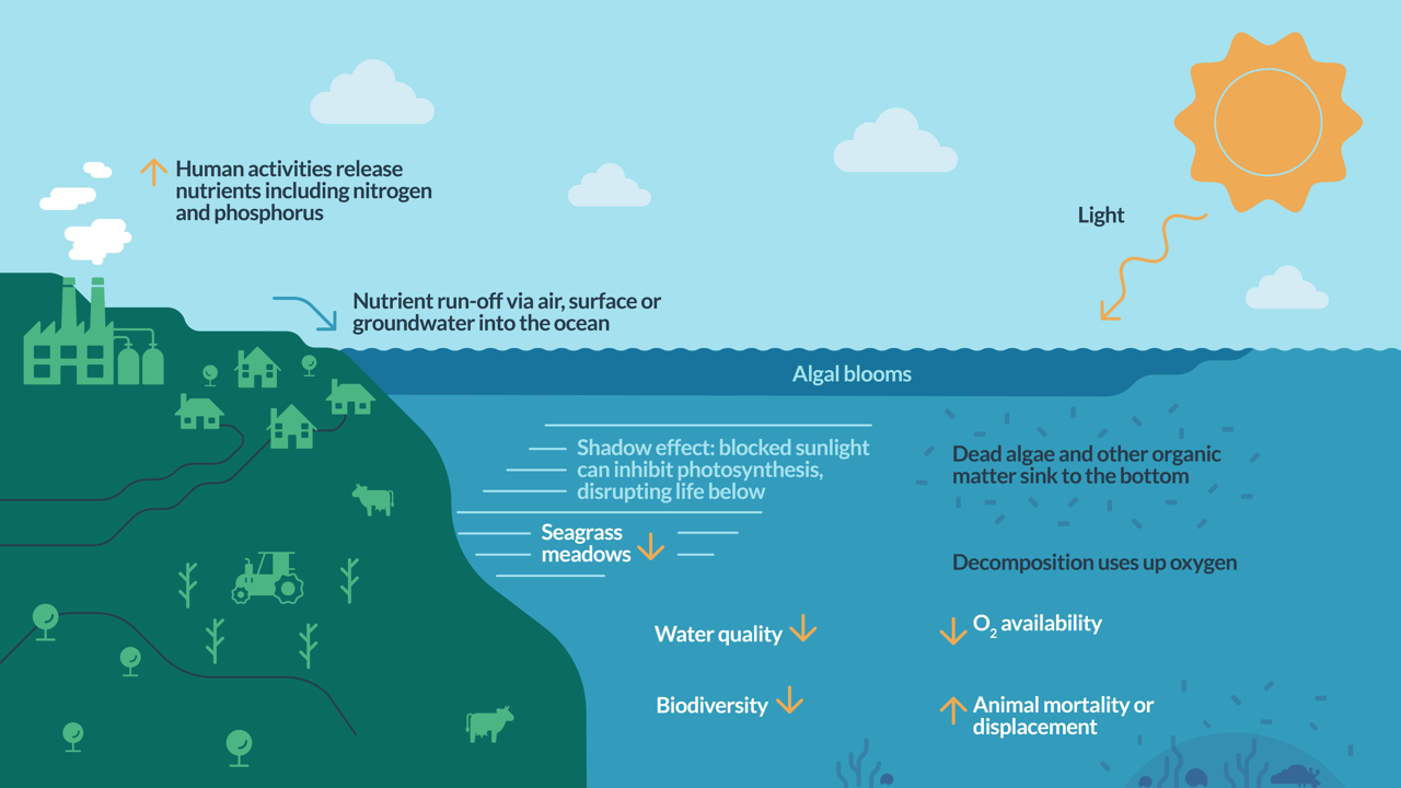 EU rules seen as insufficient to fix nutrient pollution – EUobserver