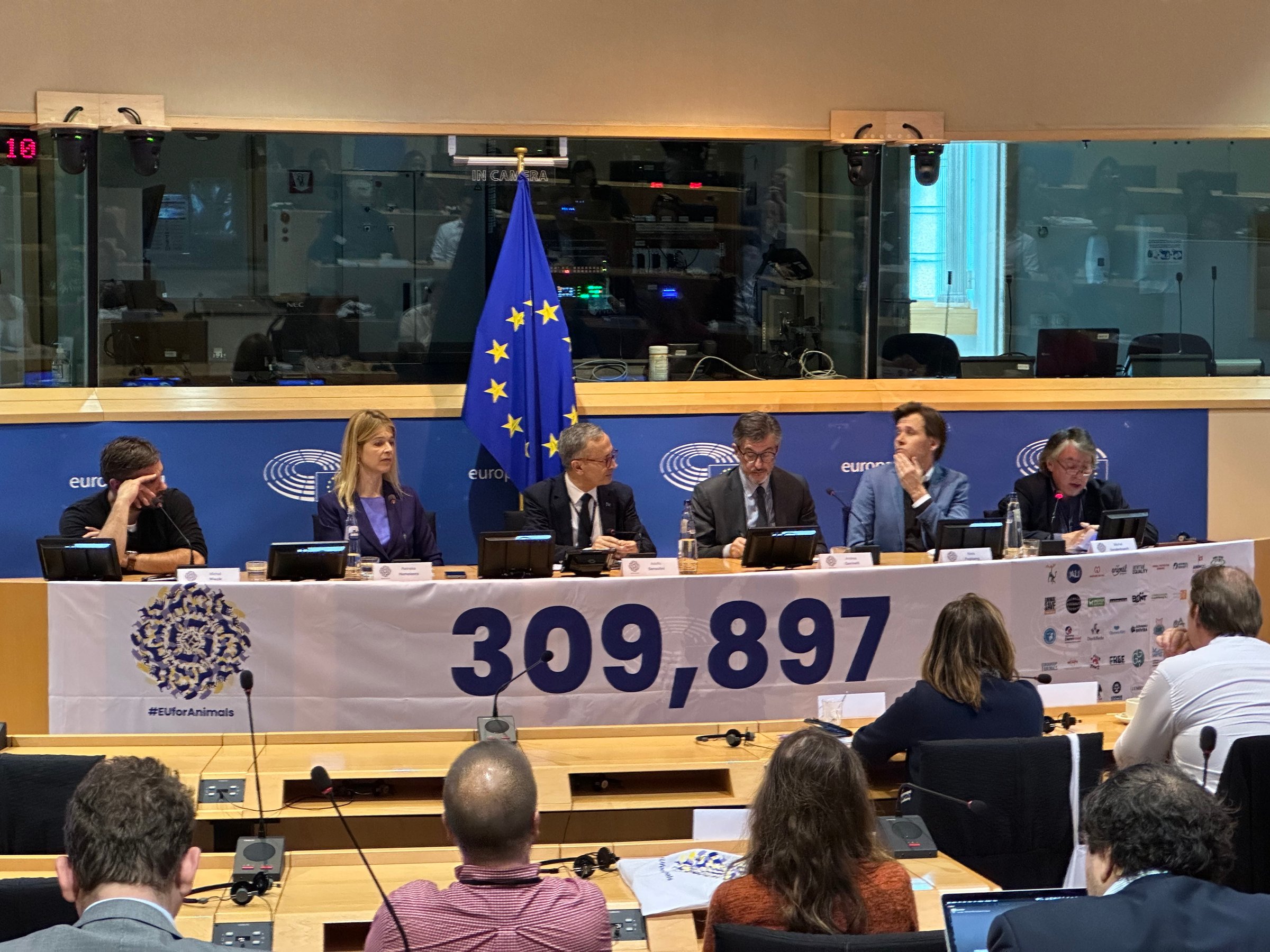 Time for an EU commissioner for animal welfare – EUobserver