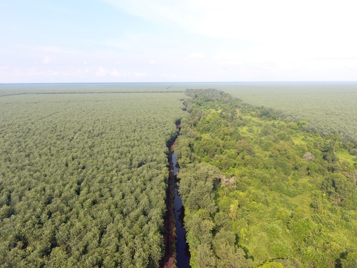 Clock ticks down on EU deforestation law as governments push for new ...