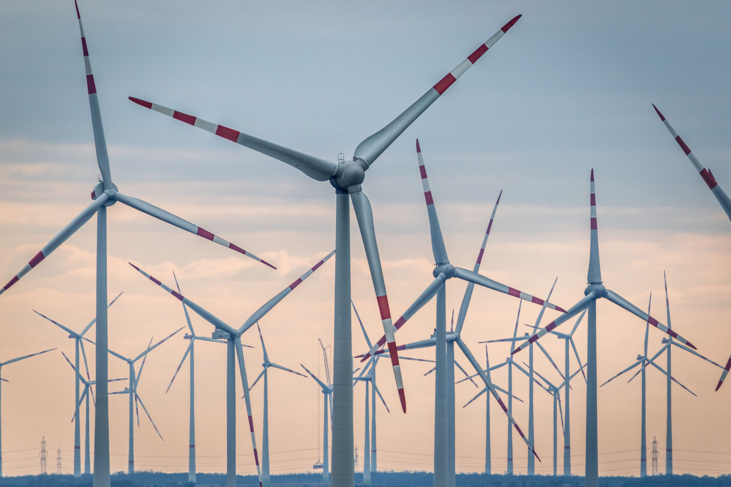 Wind and solar cut EU electricity prices by 24% – but gas still rules ...
