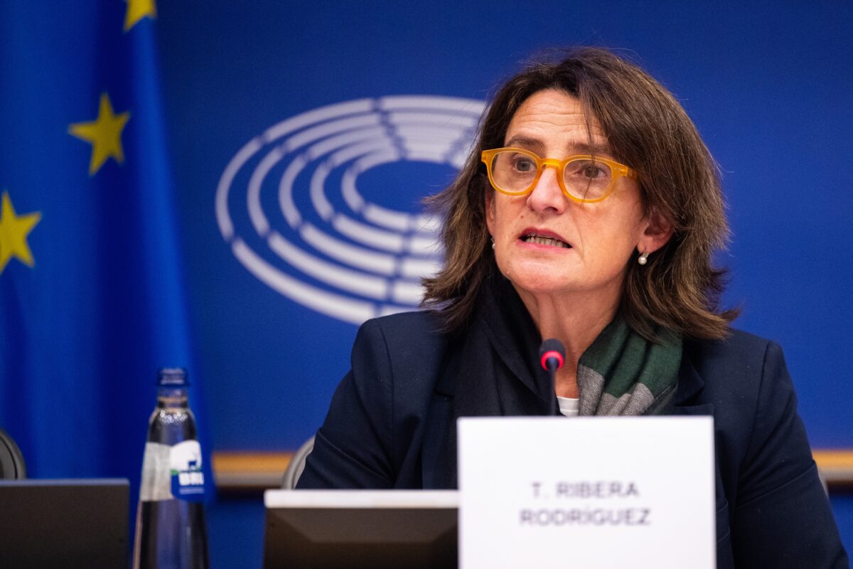 MEPs doubt Brussels can police Big Tech, as EU commission defends ...